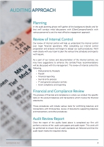 Audit Service Proposal Template | Fresh Proposals