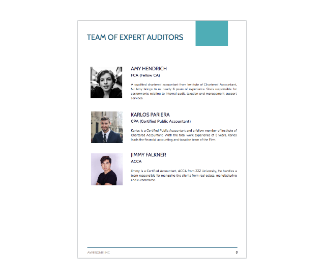 Audit Service Proposal Template | Fresh Proposals