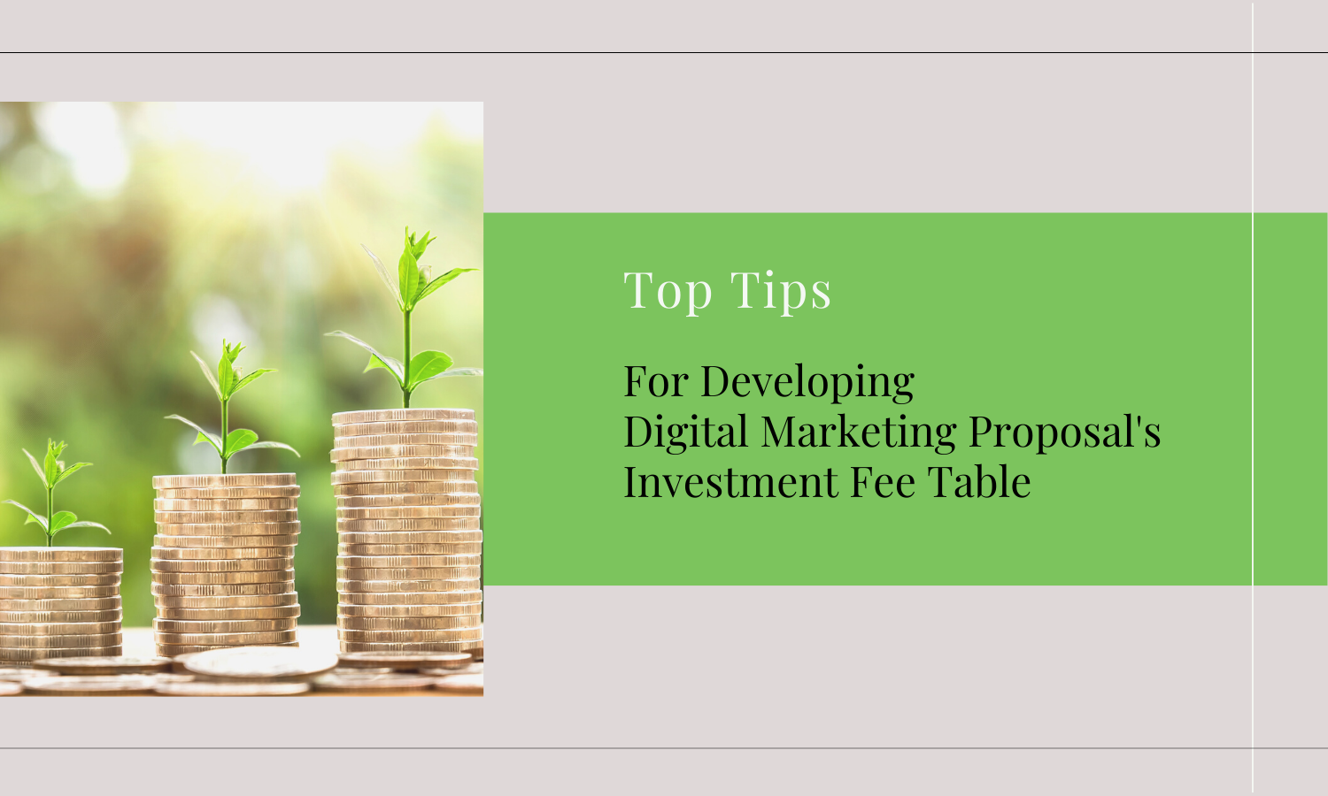 How to Create a High-Converting Investment Fees Table for Digital Marketing