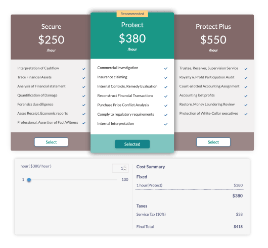Forensic Accounting Audit Service Pricing - Tiered Pricing | Fresh ...